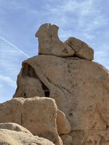 Best Hikes and Trails in Jacumba Wilderness Area | AllTrails