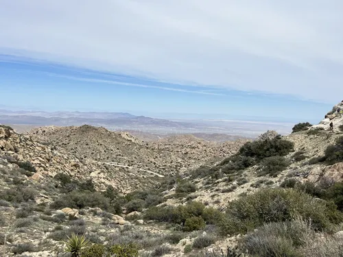 Best Hikes and Trails in Jacumba Wilderness Area | AllTrails