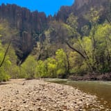 Middle Fork Gila River Trail, New Mexico - 69 Reviews, Map | AllTrails
