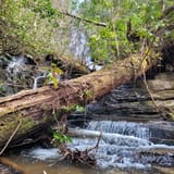Sid's Falls, South Carolina - 467 Reviews, Map | AllTrails