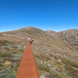 Main Range Walk, New South Wales, Australia - 903 Reviews, Map | AllTrails
