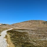 Main Range Walk, New South Wales, Australia - 903 Reviews, Map | AllTrails