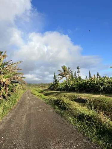 Best Hikes and Trails in Laie | AllTrails