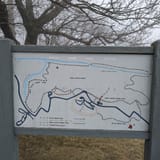 Black Ridge Trail, Virginia - 614 Reviews, Map | AllTrails