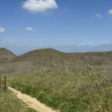 Bane Canyon Short Loop Trail, California - 844 Reviews, Map | AllTrails