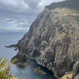 Cape Brett Track, Northland, New Zealand - 227 Reviews, Map | AllTrails