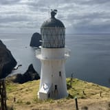 Cape Brett Track, Northland, New Zealand - 227 Reviews, Map | AllTrails
