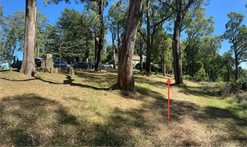 Best Hikes and Trails in Kalorama Park | AllTrails