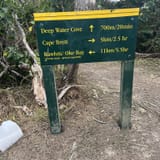 Cape Brett Track, Northland, New Zealand - 227 Reviews, Map | AllTrails