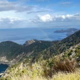 Cape Brett Track, Northland, New Zealand - 227 Reviews, Map | AllTrails