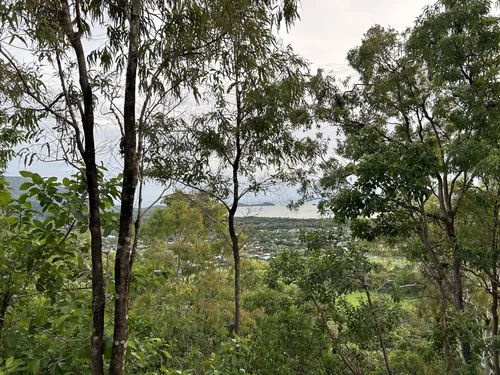 Best Hikes and Trails in Trinity Beach | AllTrails