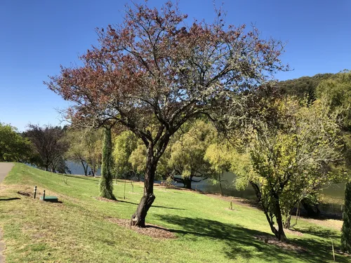 Best Walking Trails in Mount George Conservation Park | AllTrails