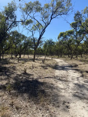 Best Camping Trails in Yaapeet | AllTrails