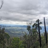 Mount Mitchell Trail, Queensland, Australia - 837 Reviews, Map | AllTrails