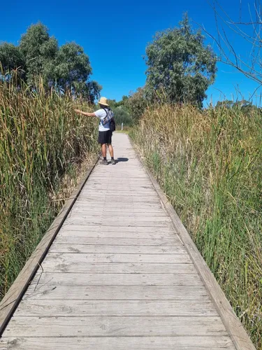 Best Walking Trails in Aldinga Conservation Park | AllTrails