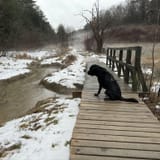 Fore River Sanctuary White Trail, Maine - 1,280 Reviews, Map | AllTrails