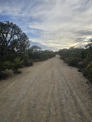 Best Views Trails in Beeliar Regional Park | AllTrails