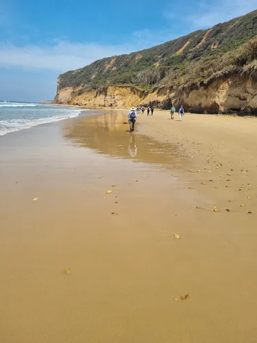 Best Hikes and Trails in Point Addis Marine National Park | AllTrails