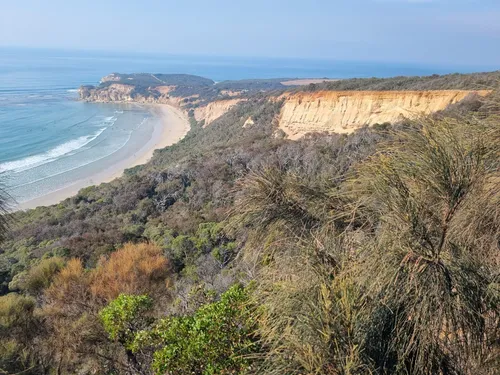 Best Hikes and Trails in Point Addis Marine National Park | AllTrails