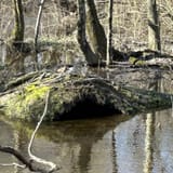 Brecknock County Park Dunbar Trail, Delaware - 277 Reviews, Map | AllTrails