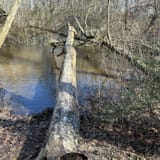 Brecknock County Park Dunbar Trail, Delaware - 277 Reviews, Map | AllTrails