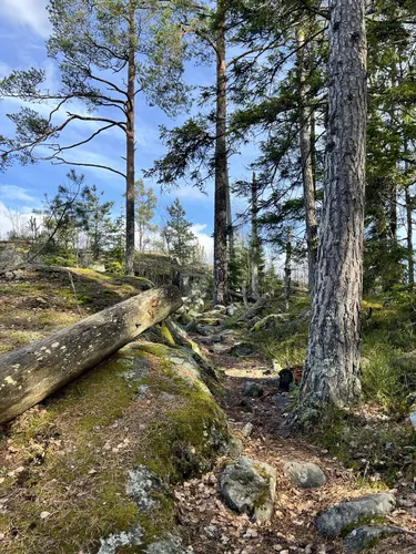 Best Beach Trails in Tyresta National Park | AllTrails