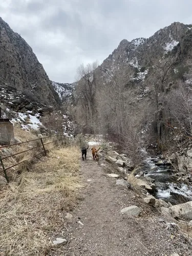 Best Forest Trails in Joseph | AllTrails