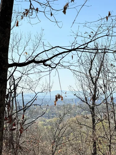 Best Hikes and Trails in Sharps Ridge Memorial Park | AllTrails