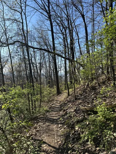 Best Hikes and Trails in Sharps Ridge Memorial Park | AllTrails