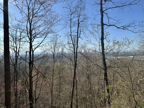 Best Hikes and Trails in Sharps Ridge Memorial Park | AllTrails