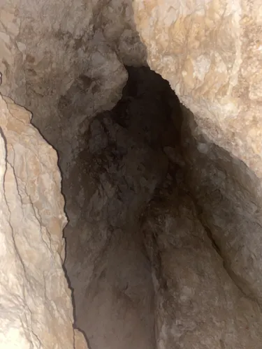 Best Hikes and Trails in Parque Julio E. Monagas | AllTrails