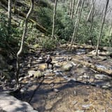 Mingo Falls Trail, North Carolina - 1,695 Reviews, Map | AllTrails