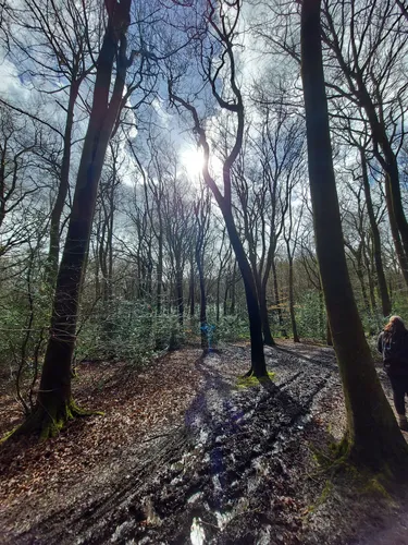 Best Hikes and Trails in Tring Park | AllTrails