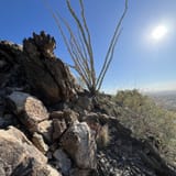 Victory Stairs, Arizona - 876 Reviews, Map | AllTrails