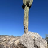 Victory Stairs, Arizona - 876 Reviews, Map | AllTrails