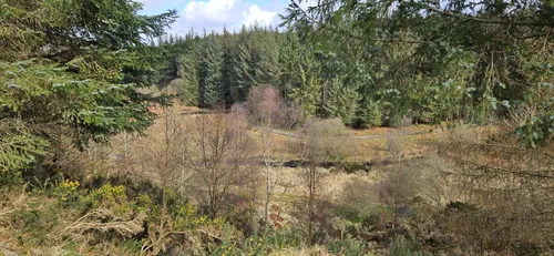 Best Hikes and Trails in Maryculter Woods | AllTrails