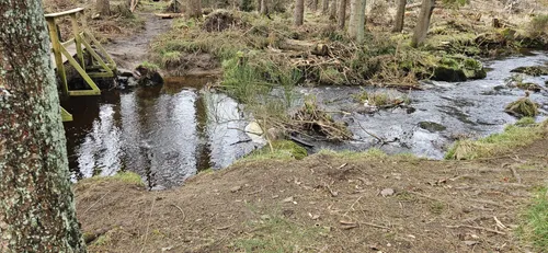 Best Hikes and Trails in Maryculter Woods | AllTrails