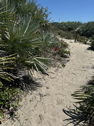 Best Hikes and Trails in Coconut Point Sanctuary | AllTrails