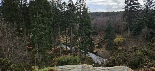 Best Hikes and Trails in Maryculter Woods | AllTrails