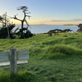 Long Bay - Okura Track, Auckland, New Zealand - 813 Reviews, Map ...