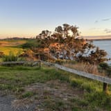 Long Bay - Okura Track, Auckland, New Zealand - 813 Reviews, Map ...