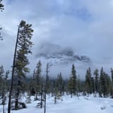Emerald Lake Loop, British Columbia, Canada - 2,444 Reviews, Map ...