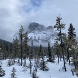 Emerald Lake Loop, British Columbia, Canada - 2,444 Reviews, Map ...