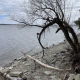 Sheila McKee Nature Trail, Ontario, Canada - 265 Reviews, Map | AllTrails