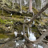 Sheila McKee Nature Trail, Ontario, Canada - 265 Reviews, Map | AllTrails