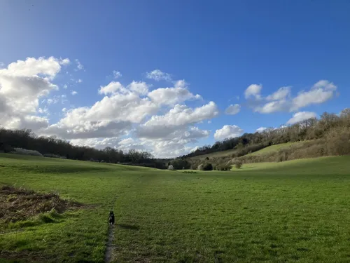 Best Hikes and Trails in Farthing Downs | AllTrails