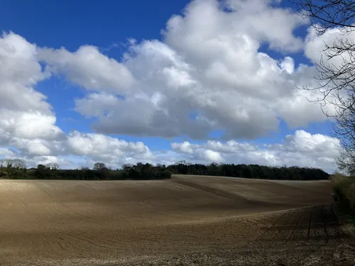 Best Hikes and Trails in Farthing Downs | AllTrails