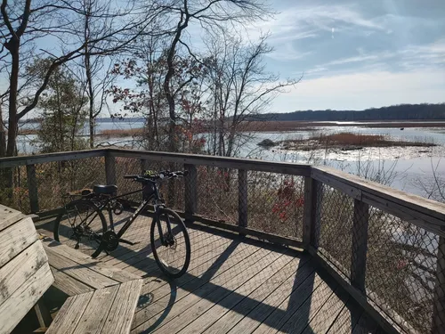 Best Hikes and Trails in Mason Neck Wildlife Refuge | AllTrails