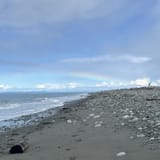 Dungeness Spit Trail, Washington - 1,555 Reviews, Map | AllTrails