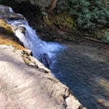 Laurel Run Trail, Tennessee - 632 Reviews, Map | AllTrails